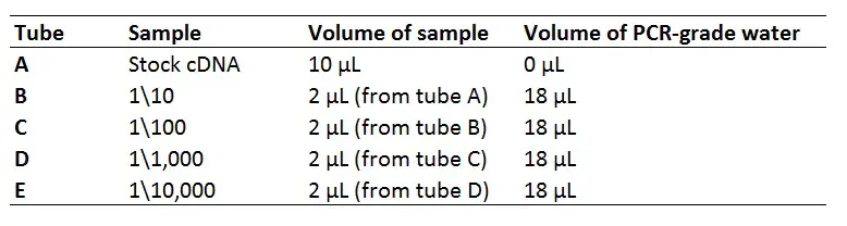 How To Calculate PCR Primer Efficiencies